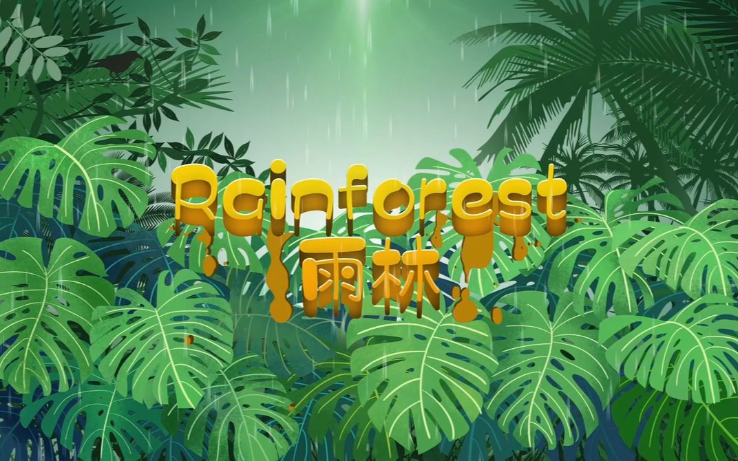 遮天蔽日的原始森林里,竟然藏着这样的秘密 【雨林】|【地球】|【知识...