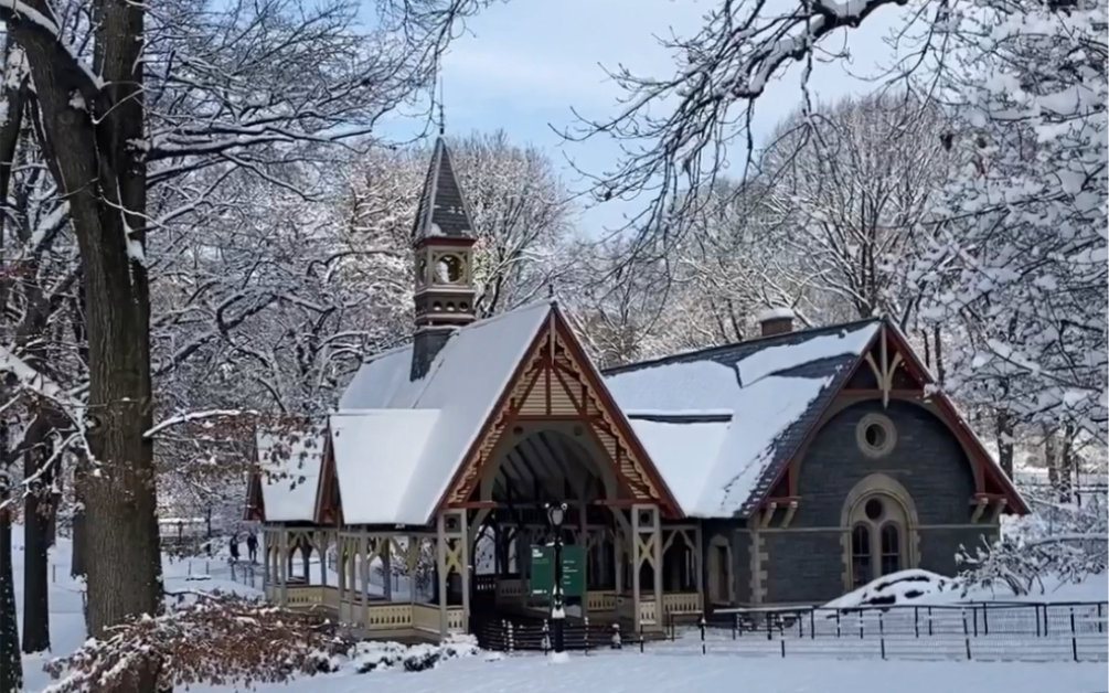 纽约|2022的第一场雪|超开心的一天