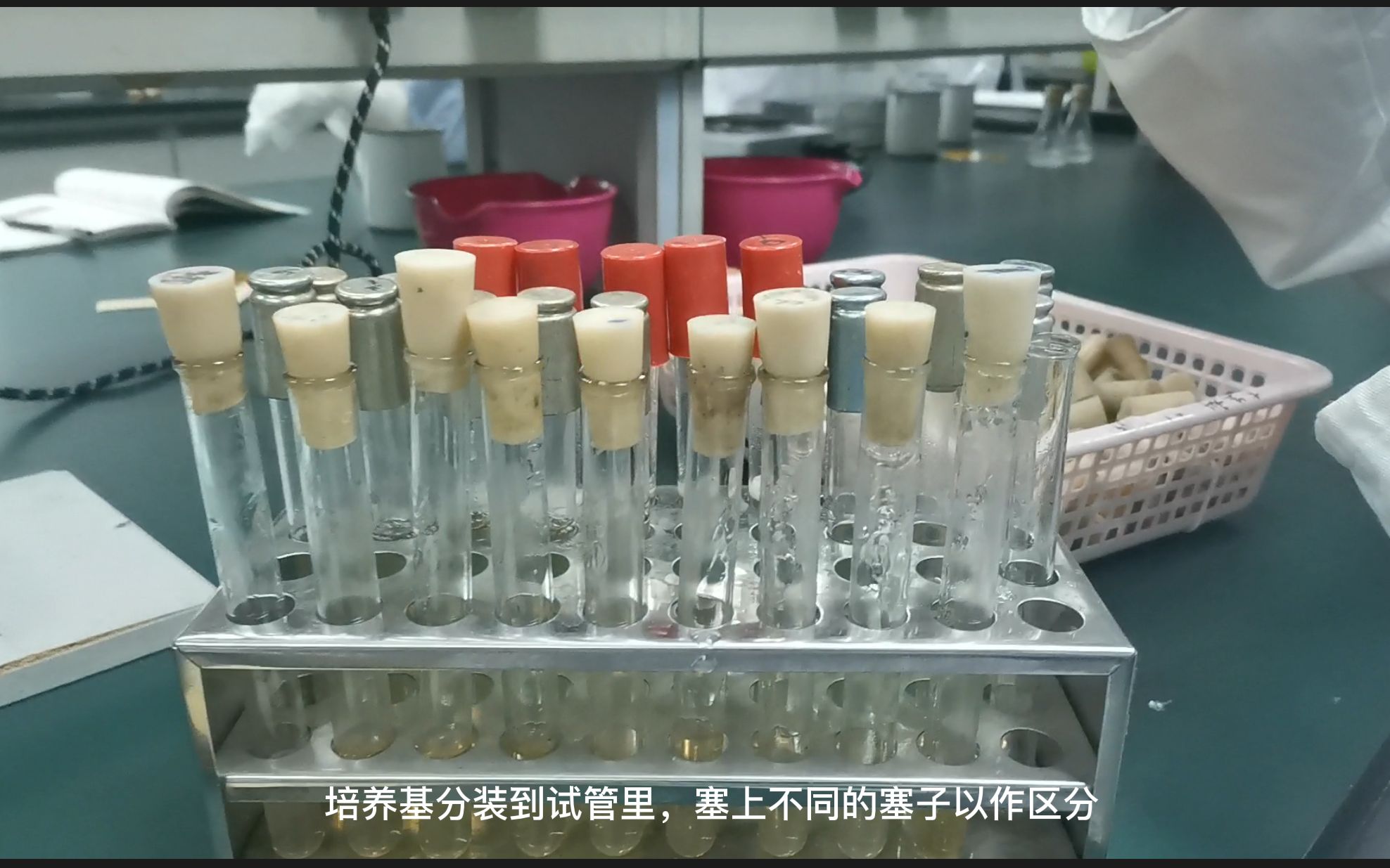 【微生物学】第四次实验_制作培养基beginning