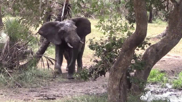 挠脚心大全挠痒痒