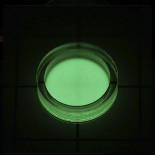 Breakseal八氟化氙 