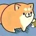 文身狗 