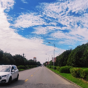 大白不白吖 