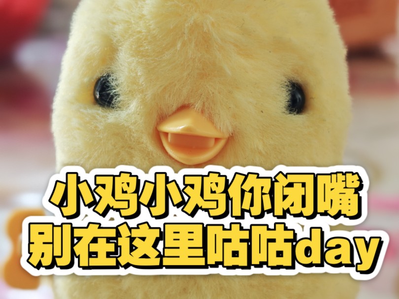 小鸡小鸡你闭嘴,别在这里咕咕day!