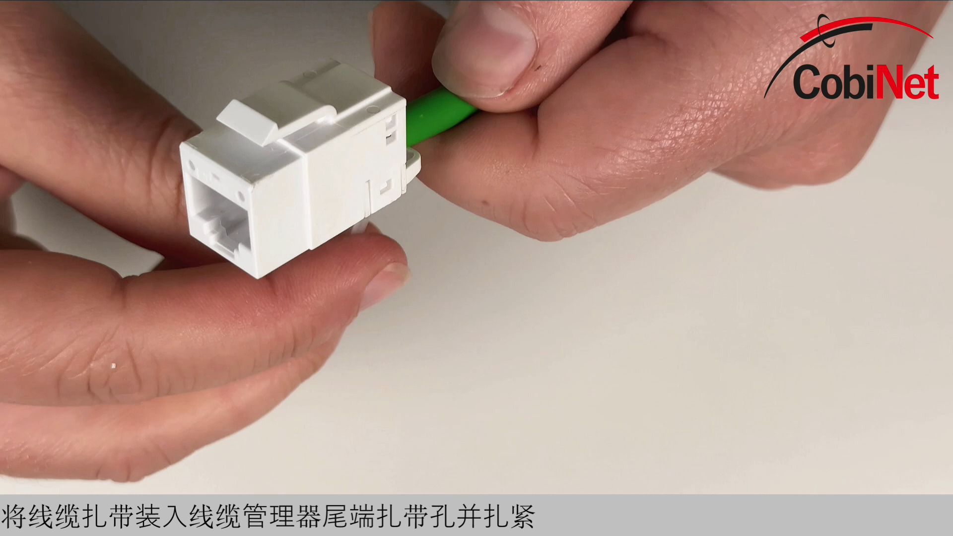 CobiNet UTP Cat6A 网络模块安装教程