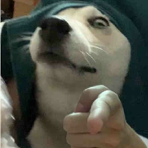 -我是长颈鹿- 