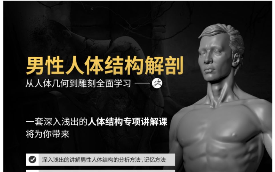 人体结构解剖 — 骨骼,肌肉,人体从讲解到雕刻全流程