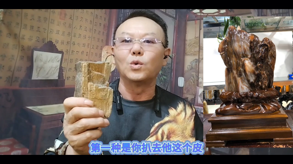 树化玉是玉石奇石化石三种身份的完美结合