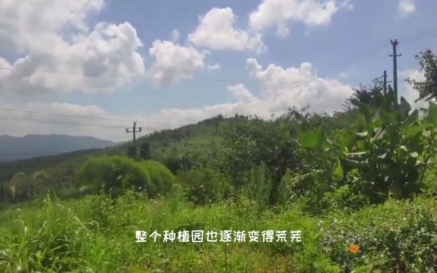 返家乡实践活动记录第一期