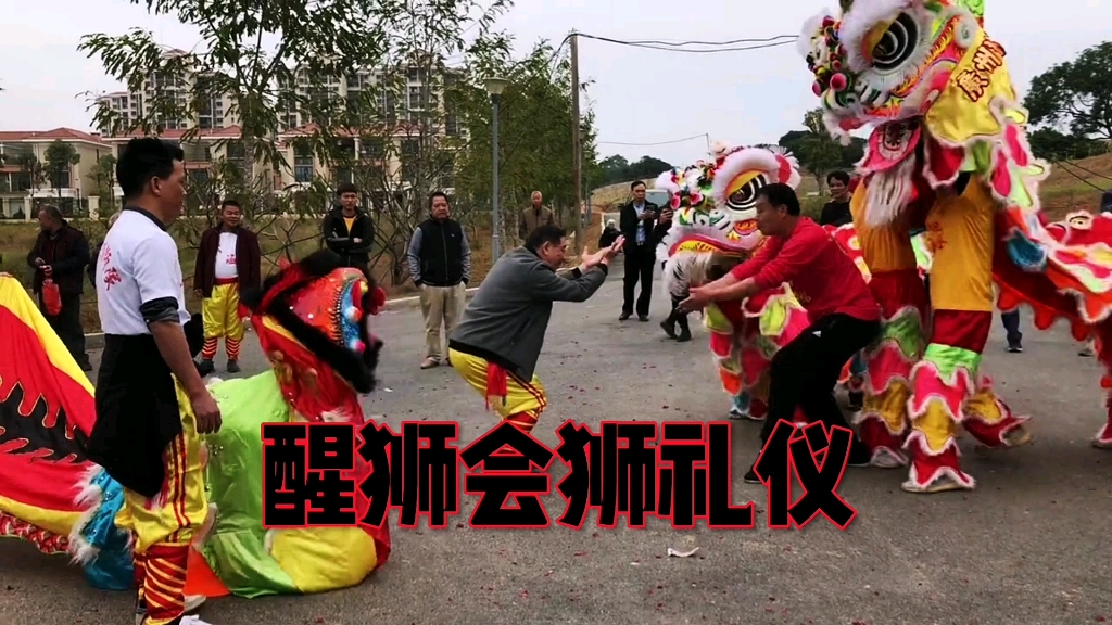 南狮、舞狮文明会狮礼仪,文化弘扬华夏传统文化传承,将醒狮传统文化...