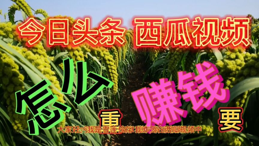 怎么做:才能在今日头条西瓜视频上赚钱…