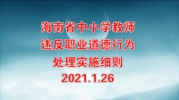 师德师风学习《海南省中小学教师违反职业道德行为处理实施细则》