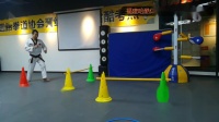器械训练(蛇形跑 障碍跳 速度环 前滚翻)