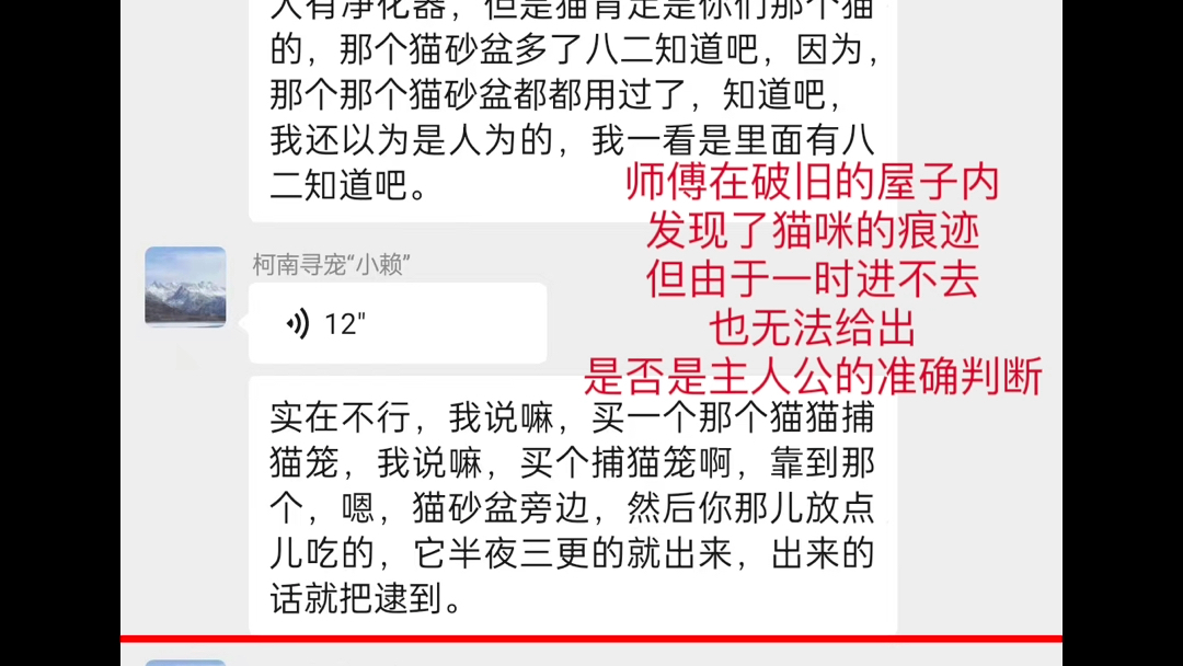 抓捕新难题!看师傅如何快讯找回丢失的田园猫