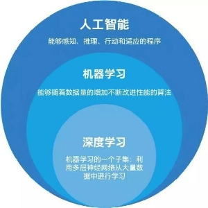 小猪的科研生活 