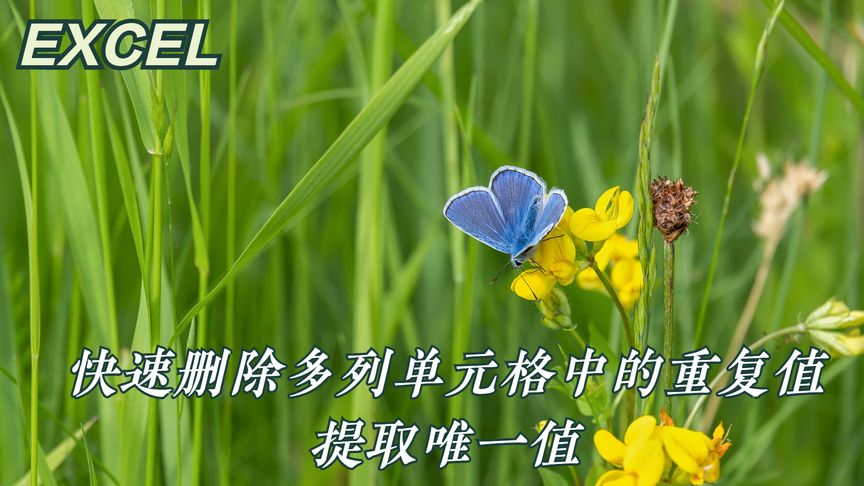 Excel基础(18):快速删除多列单元格中的重复值,提取唯一值