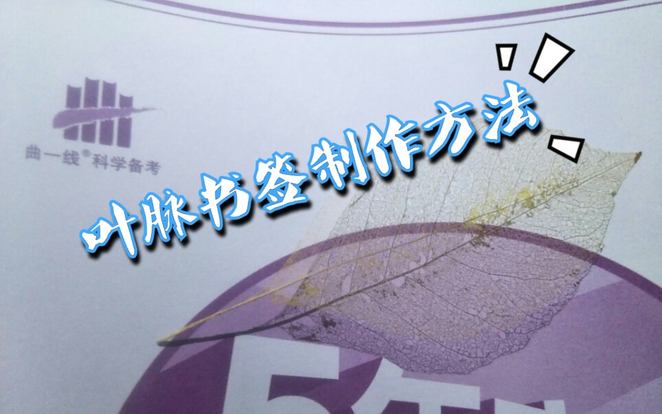 【叶脉书签】超简单的制作方法,有双手和树叶就行