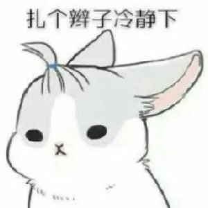 耗子永远der神 