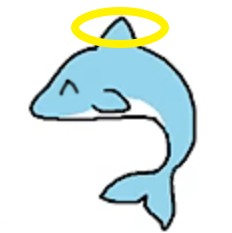 St_Dolphin 
