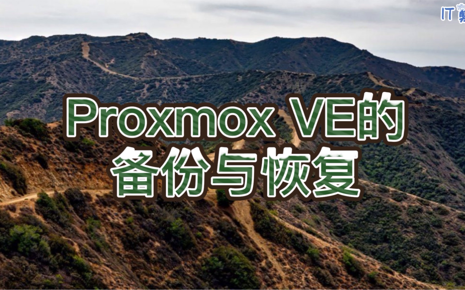 【PVE系列】Proxmox VE的备份与恢复