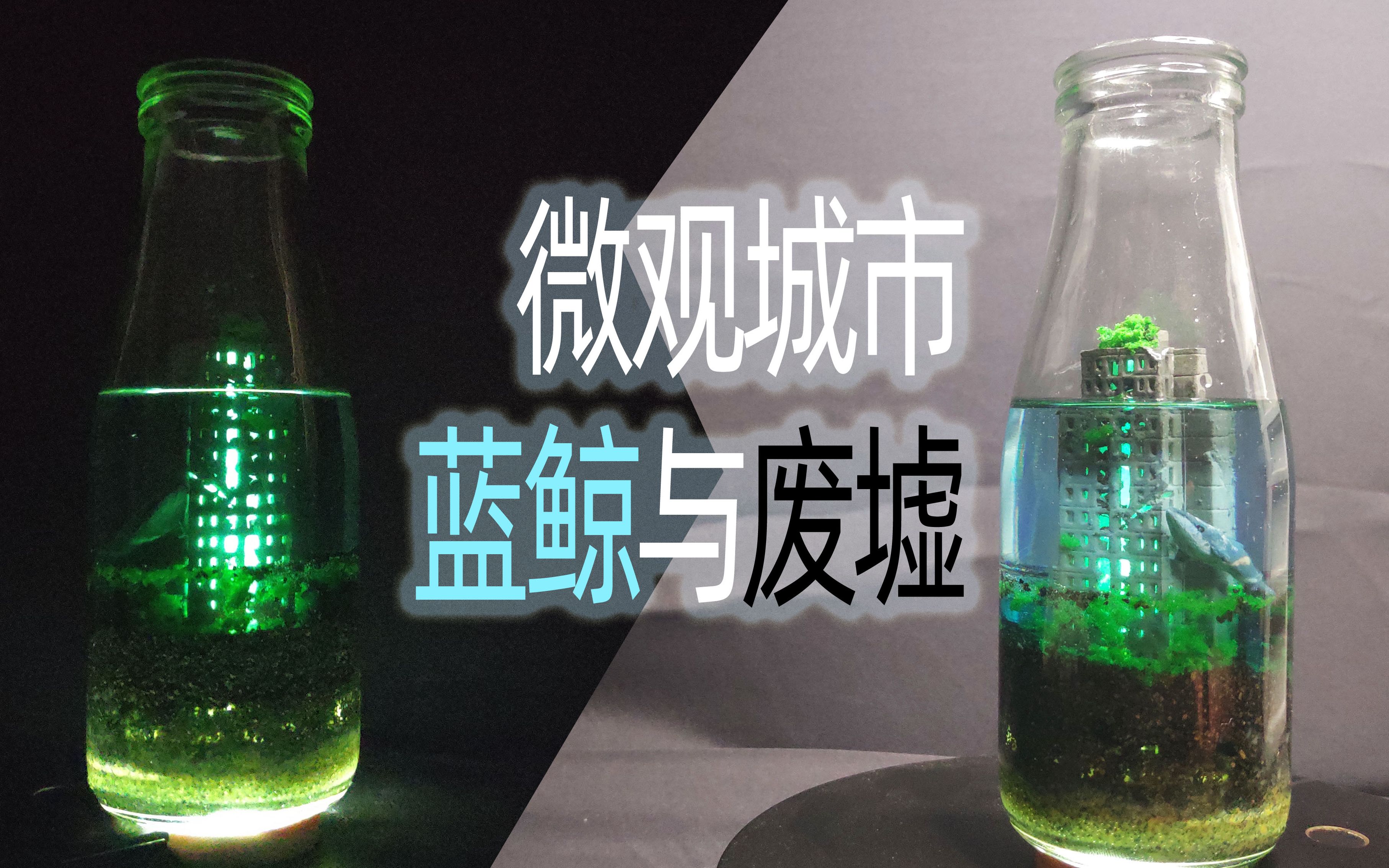 第一次瓶子里做微景观,各种翻车崩溃/微观城市-蓝鲸与废墟_NO.002