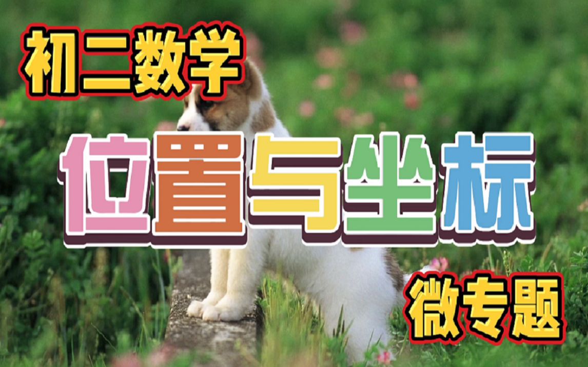 位置与坐标专题,常考,证明直角,计算面积,三方面题型
