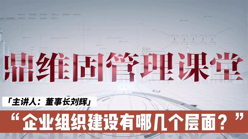 鼎维固管理课堂(第三讲)企业组织建设有哪几个层面?