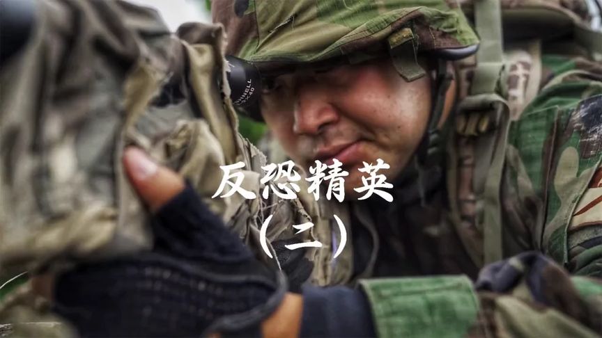 用专业设备,成本还是很高的