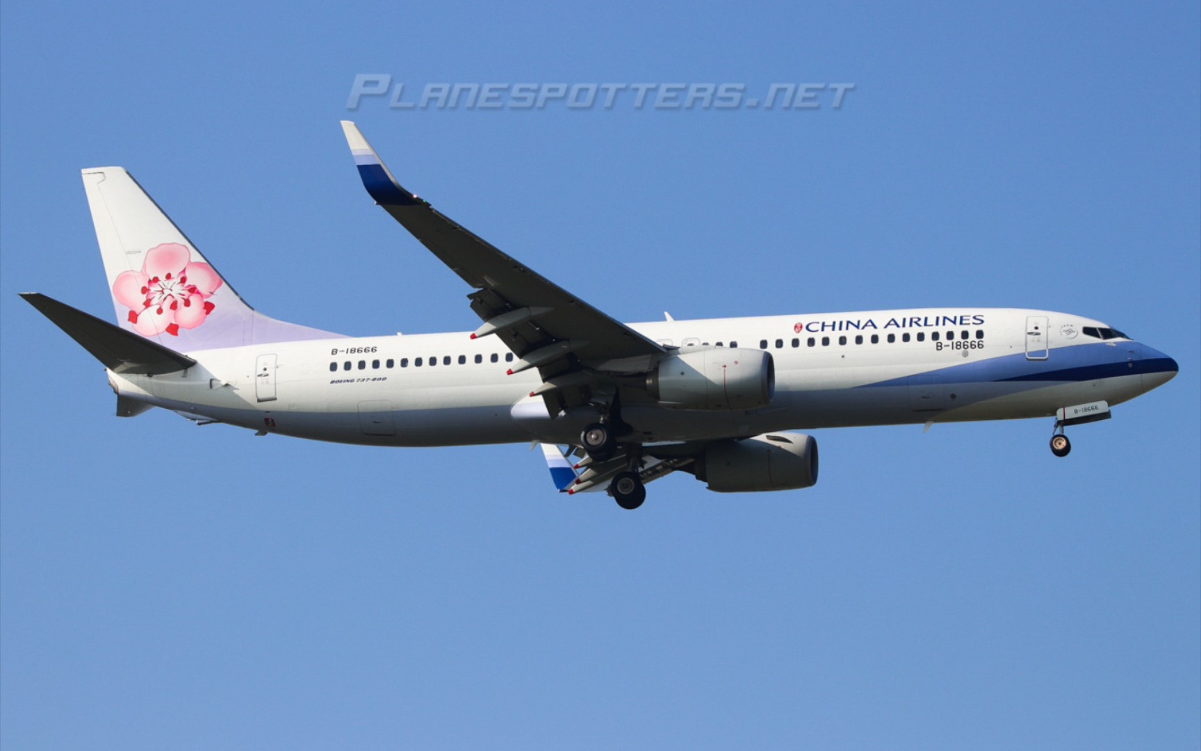 中华航空波音737-800(WL)