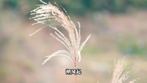 立冬啦,冬天天气干燥,加湿器这么用才科学!
