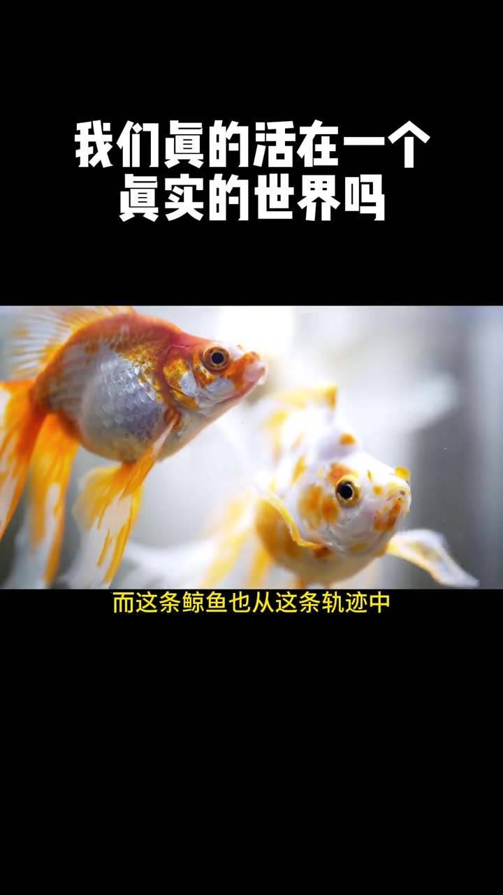 我们真的活在一个真实的世界吗?