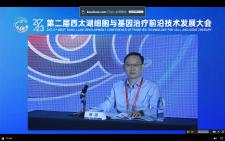 人牙髓干细胞新药研发及应用