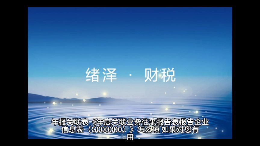 关联表 年度关联业务往来报告表报告企业信息表G000000极简说明