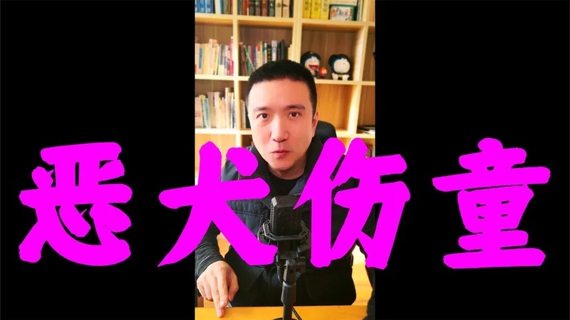 狗咬人,狗主人该担责,流浪狗伤人又该怎么办?