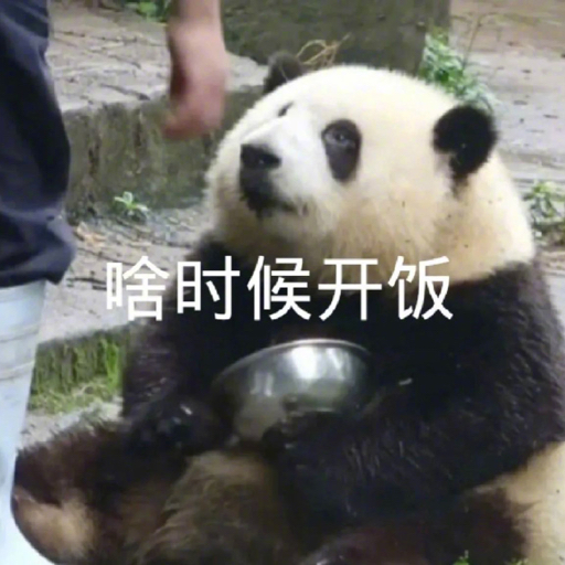 特大号少女 