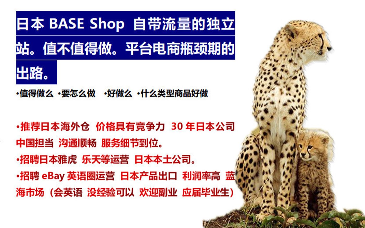 日本BASE Shop 自带流量的独立站。值不值得做。平台电商瓶颈期的...