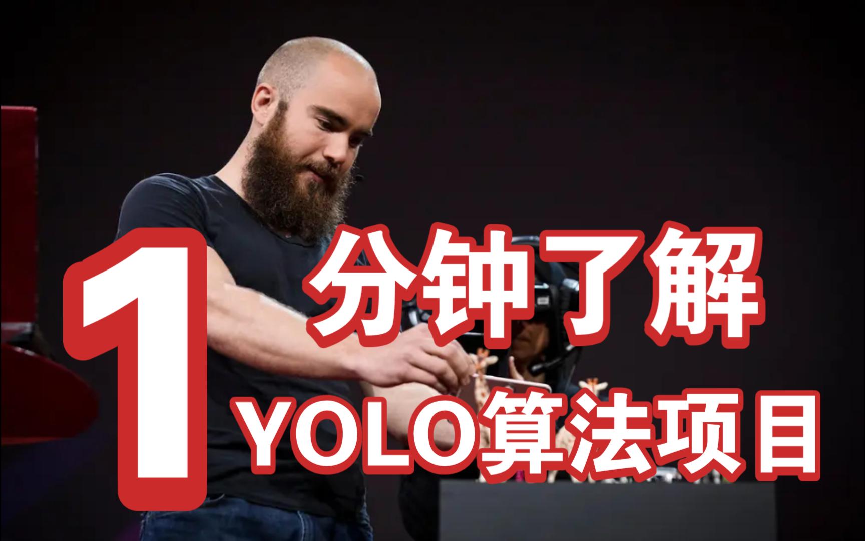 【搞事情!B站首发!】计算机视觉最强目标检测算法——YOLO算法项目...