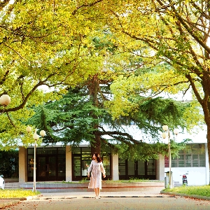 七彩小语 