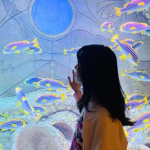 第一个不会发光的星星 