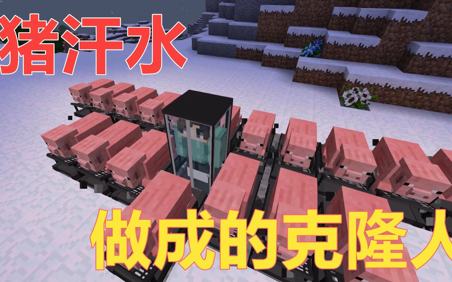 我的世界模组:猪猪挥洒汗水,竟然造出来克隆人!