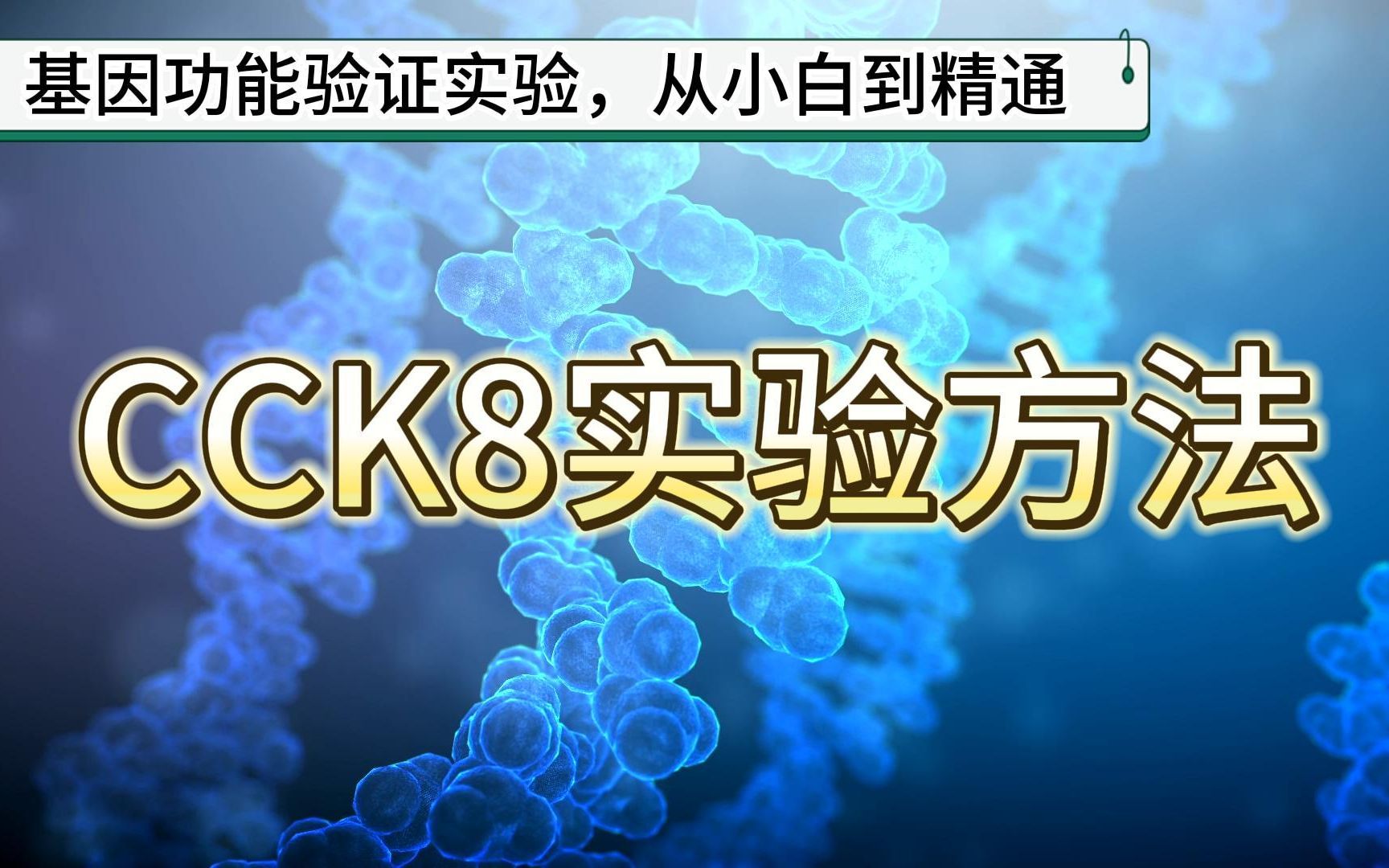 CCK8实验方法!