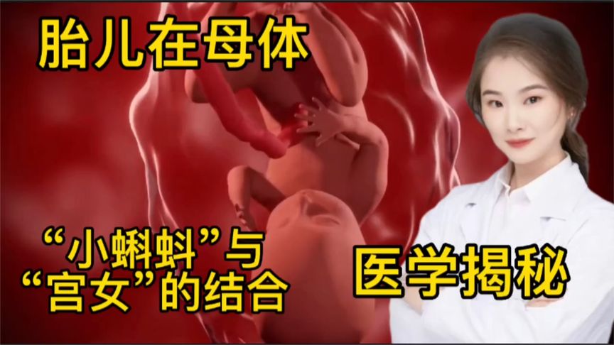 医学演绎 揭秘人体婴儿是如何形成 从小蝌蚪到婴儿人类诞生全过程