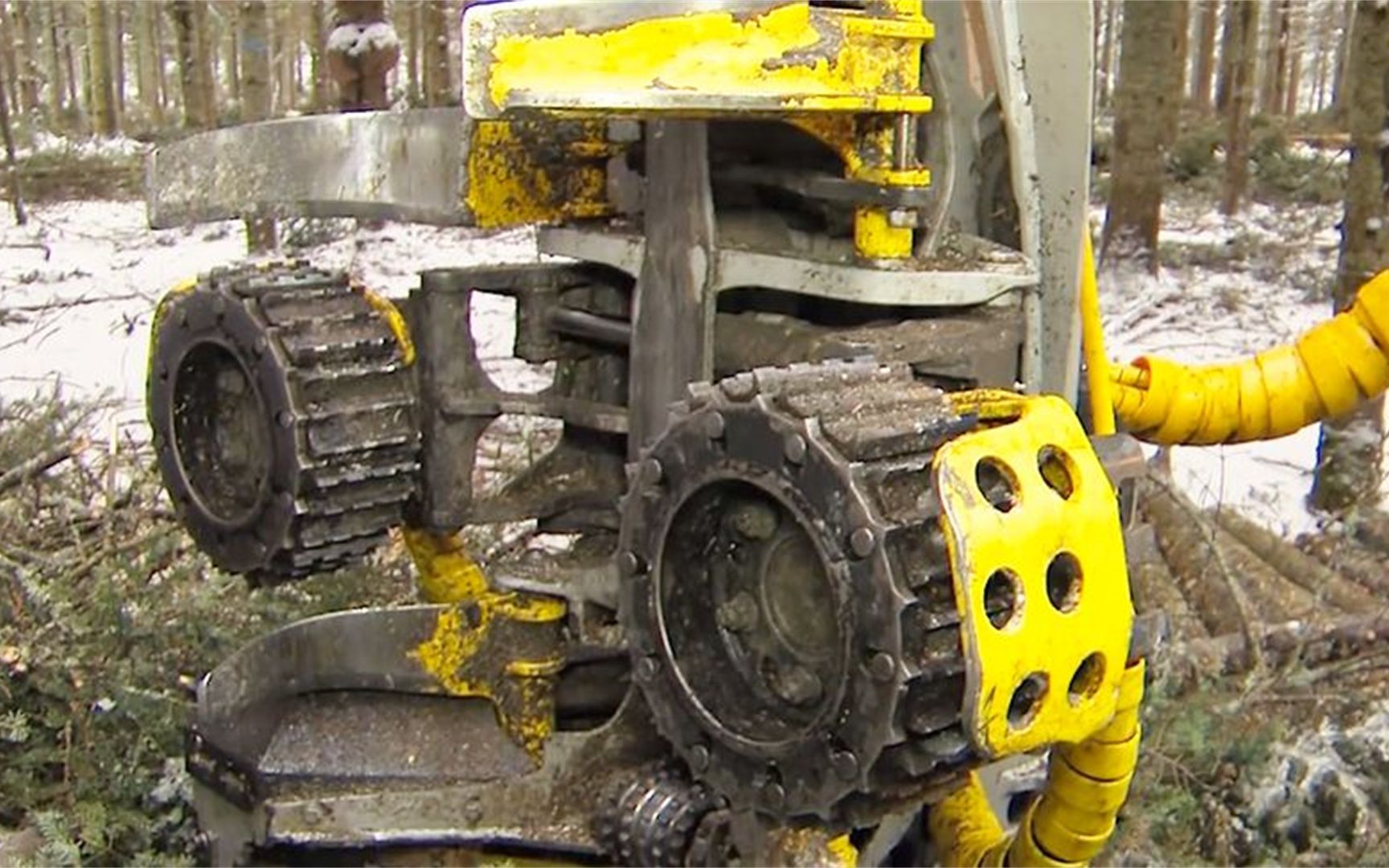 森林专用伐木收割机,一天砍伐一片森林很轻松