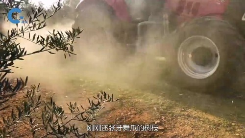 能追着树枝粉碎的机器内部安装根碳化钨锤原理是什么?