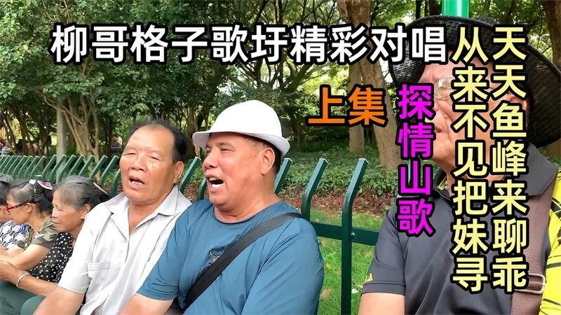 天天鱼峰来聊乖从来不见把妹寻,柳哥格子歌圩精彩对唱,探情山歌