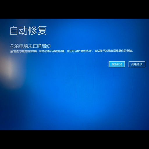 村农民人均 