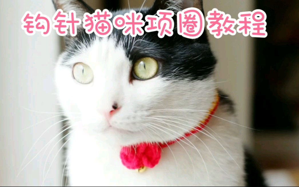 【钩针】简单易学手工钩针猫咪项圈