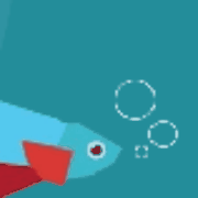 FishHe5 