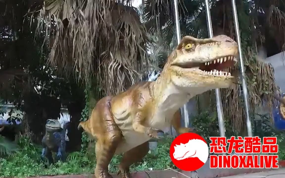 幼崽霸王龙模型 - 仿真小型电动恐龙
