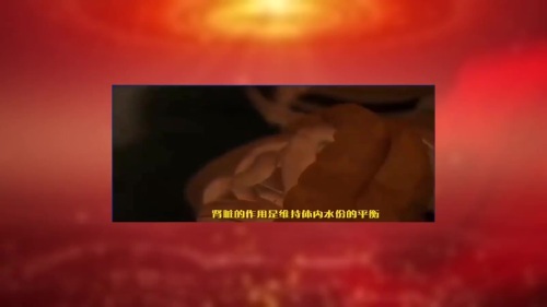 生命如此伟大!你的所有细胞和组织高度协同工作